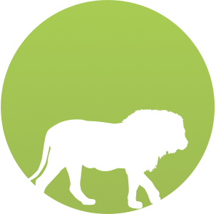 How to Get Started - DataTrue