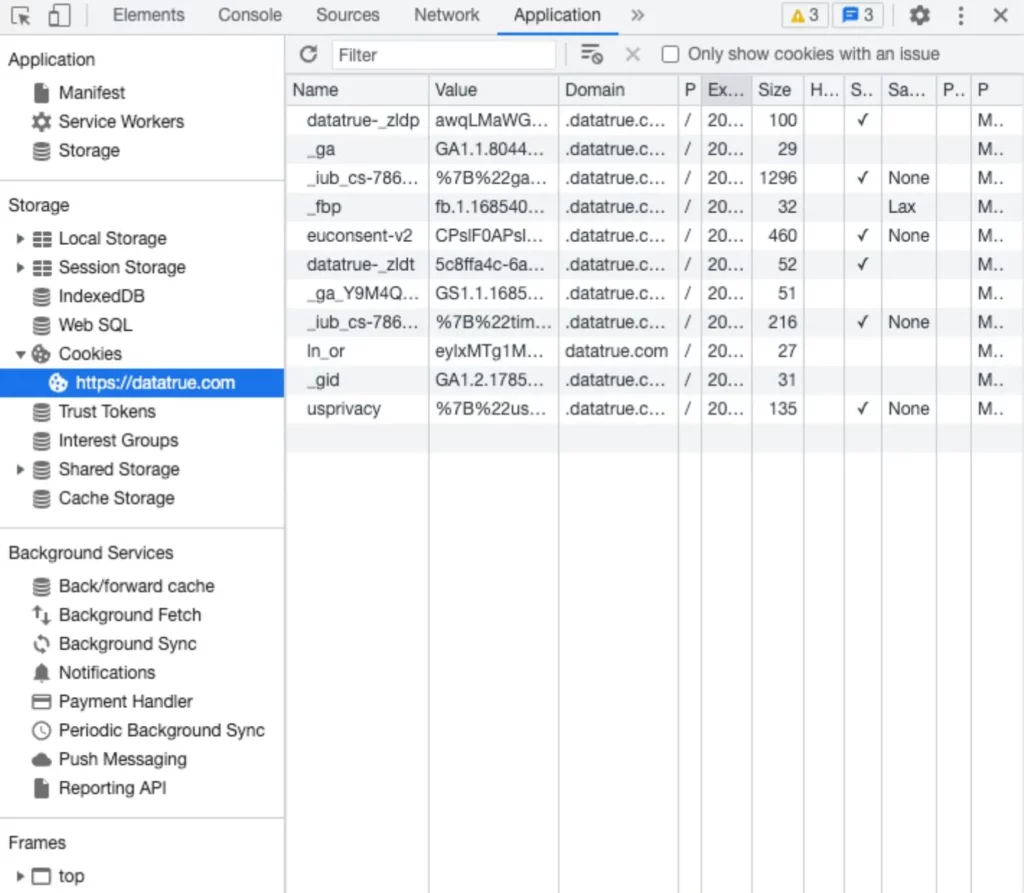 What is a Cookie Audit? Tools and Methods You Can Use - DataTrue